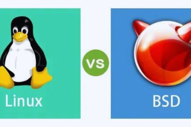 Linux Vs Bsd For Servers What Are The Differences 